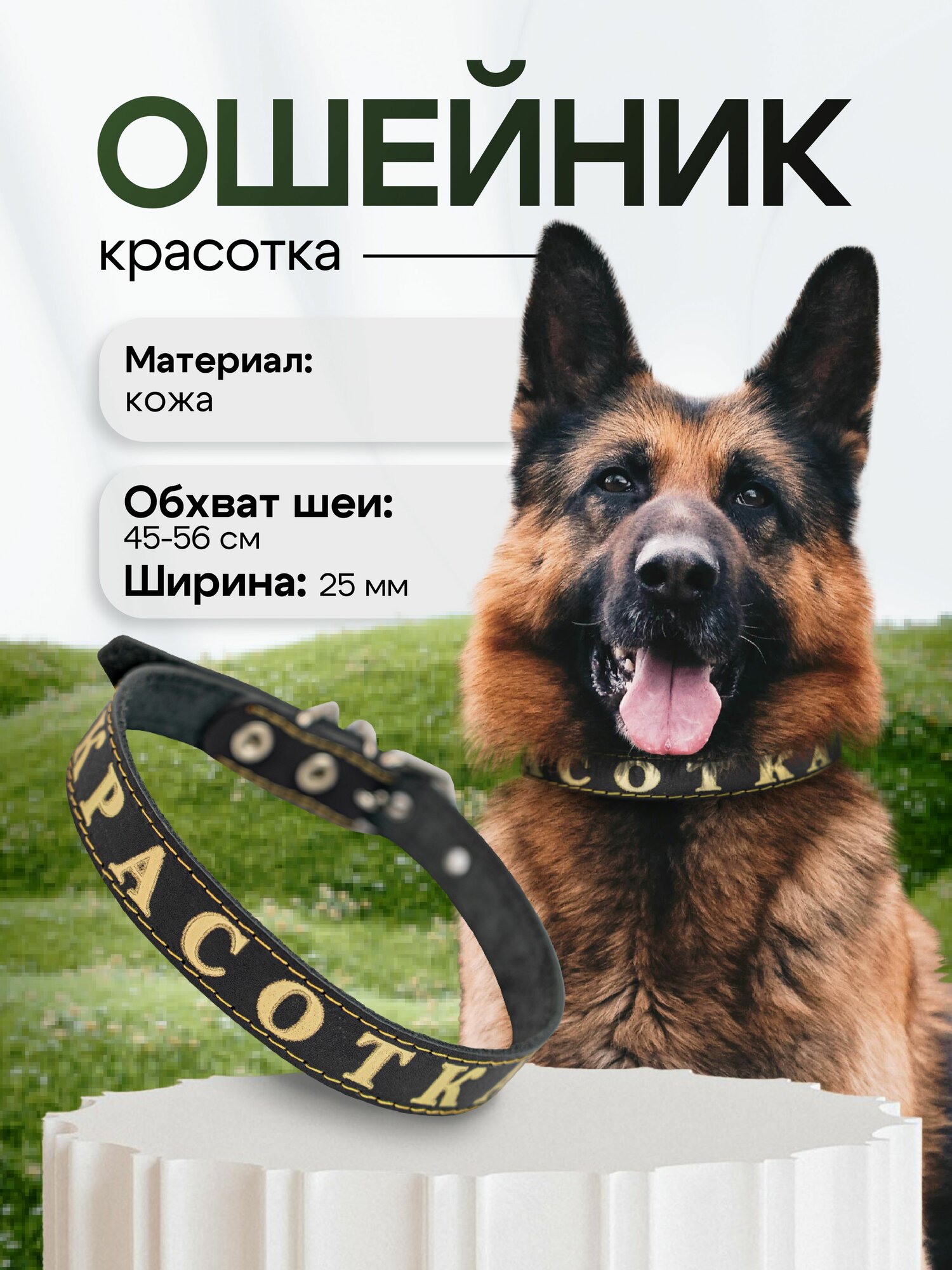 Кожаный ошейник для собак с надписью "Красотка", черный, 45-56 см, ширина 2.5 см