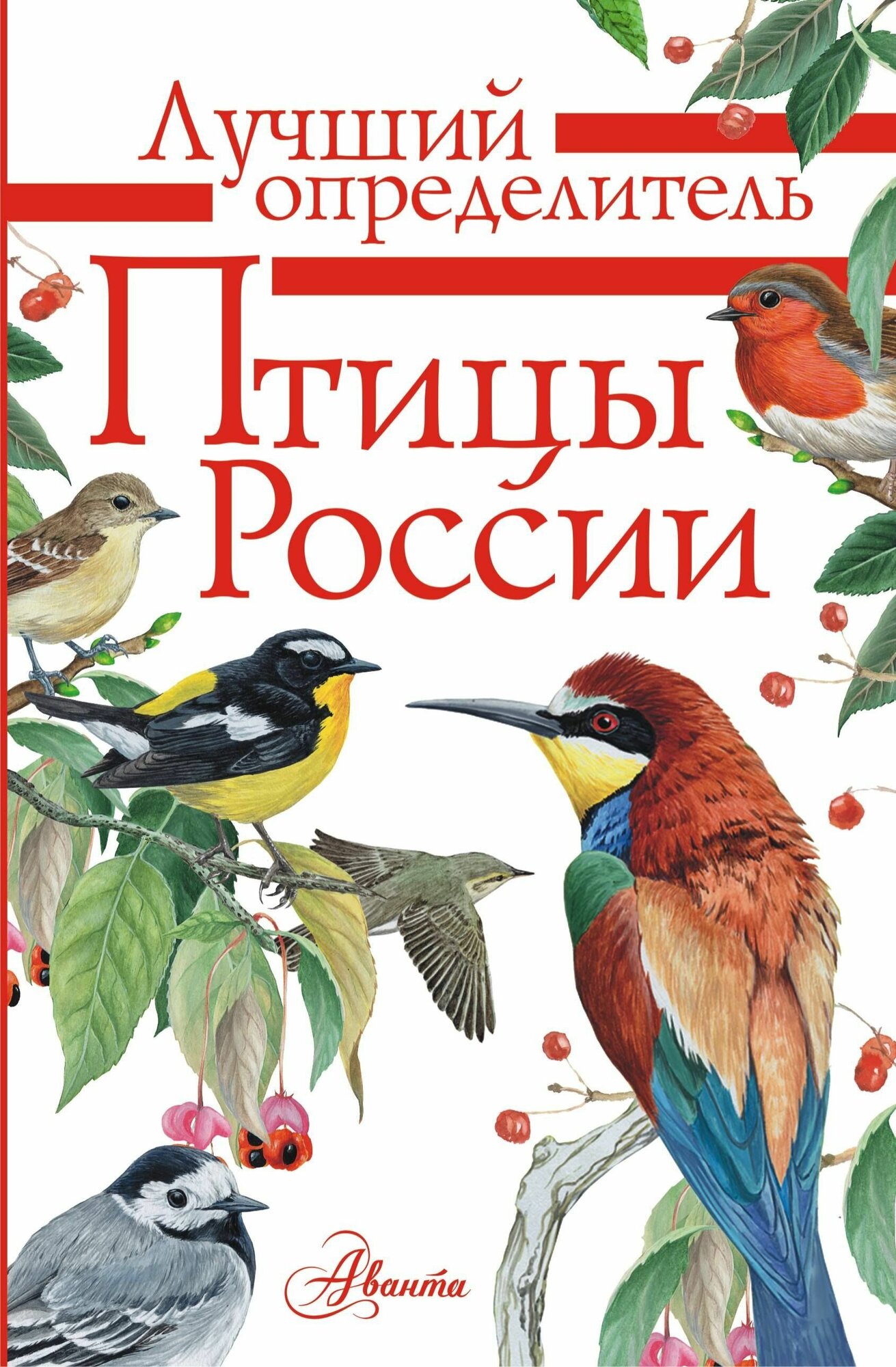 Птицы России: лучший определитель
