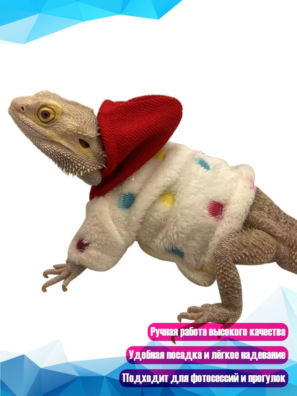 Костюм для бородатого дракона, красная шляпа в горошек