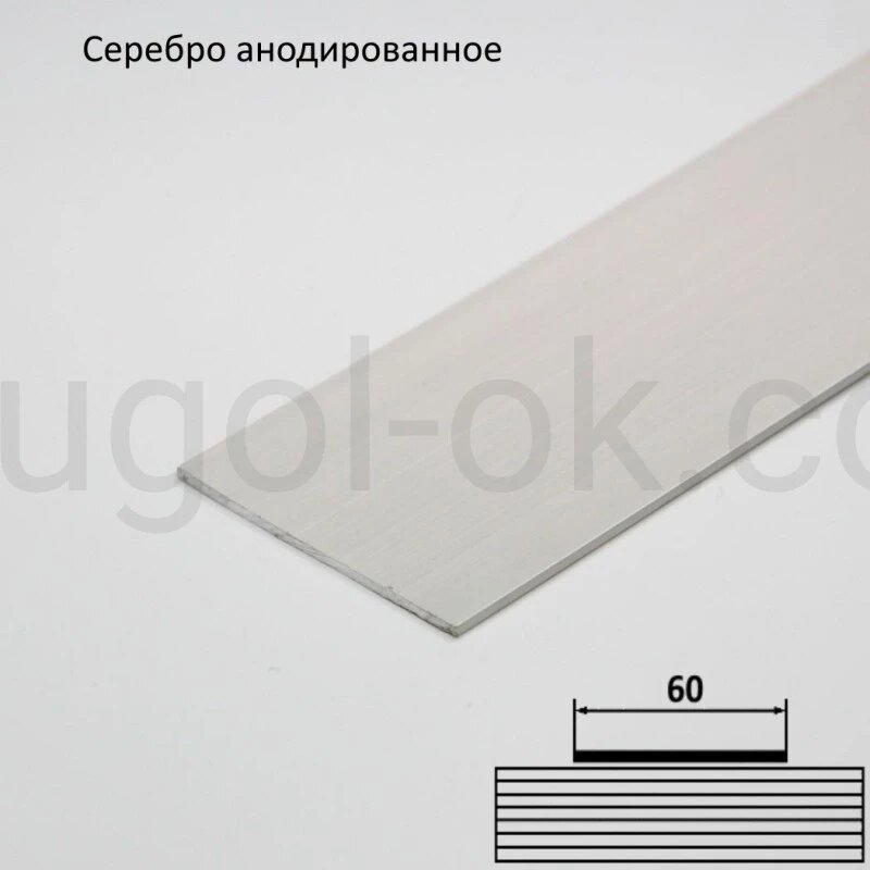 Алюминиевая полоса декоративная 60*2 анод. бесцветная 3м Донской алюминий