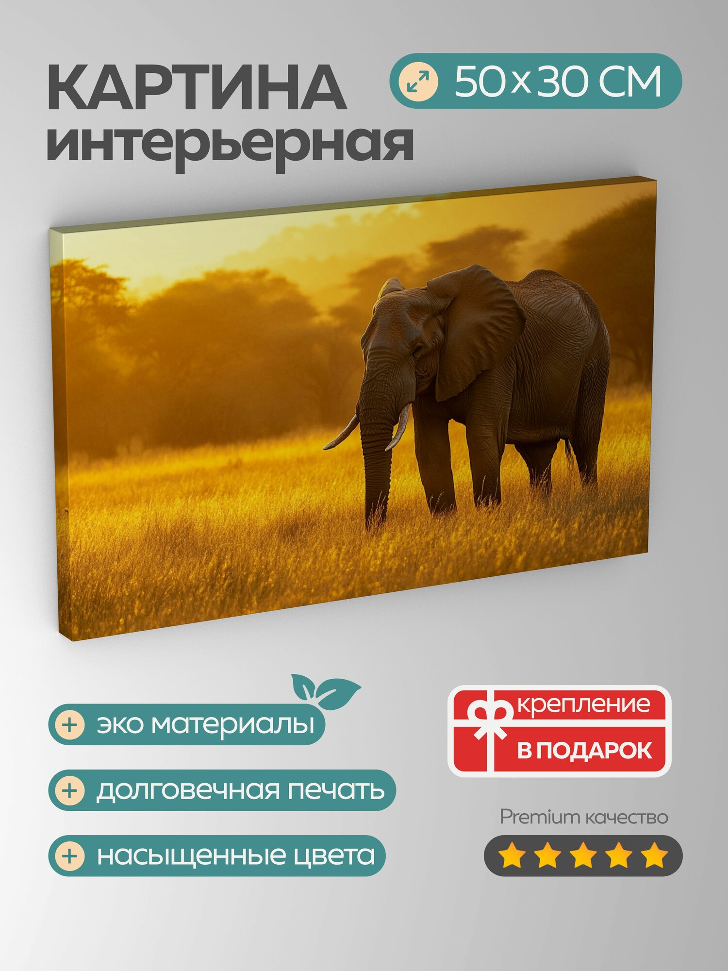 Картина на холсте интерьерная 50х30 см, слон, саванна, закат, теплый свет, длинные тени, размеры, грация, видео
