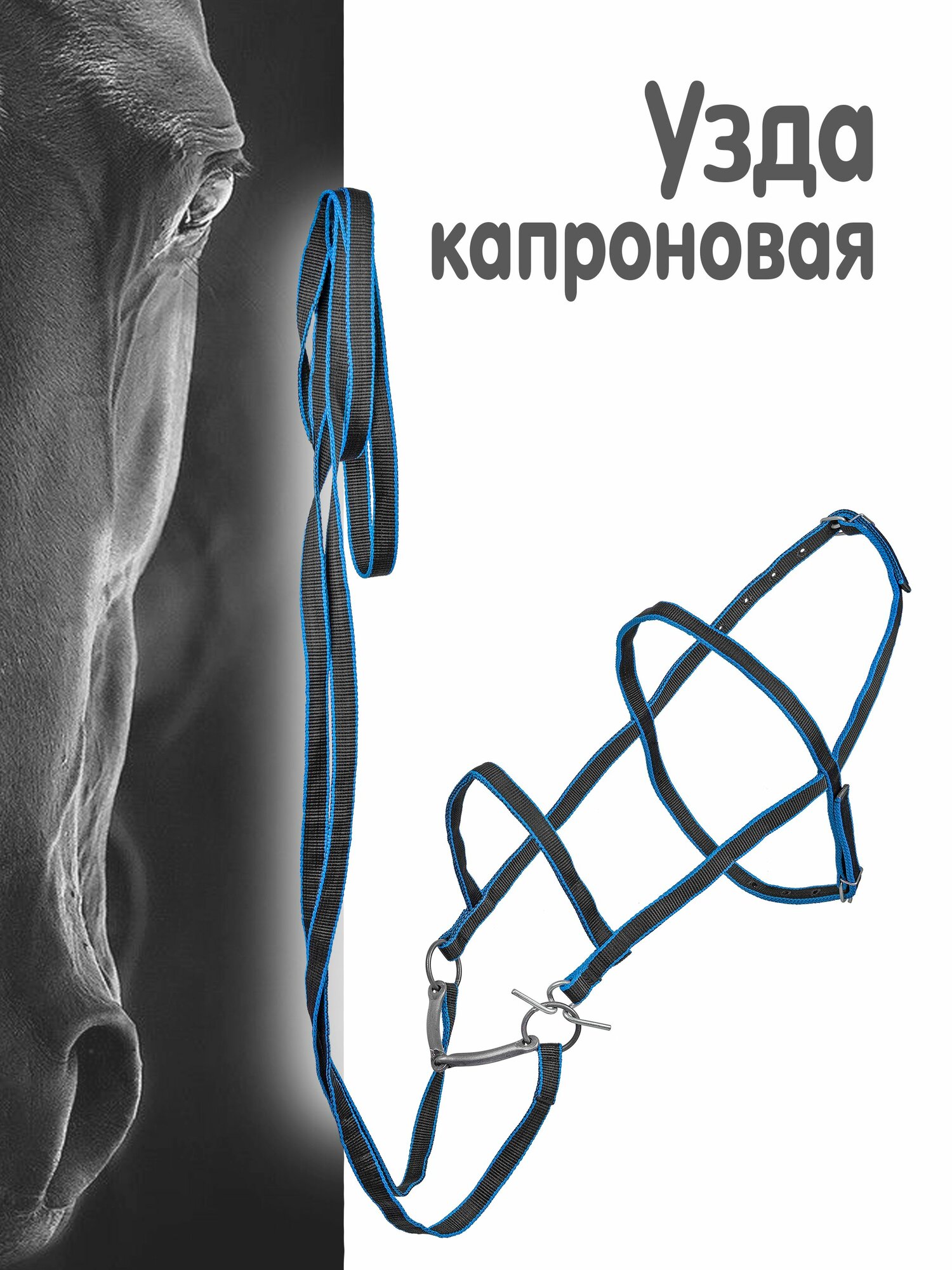 Узда для лошади, узда капроновая двойная ширина 20 мм REITER, цвет черно-синий
