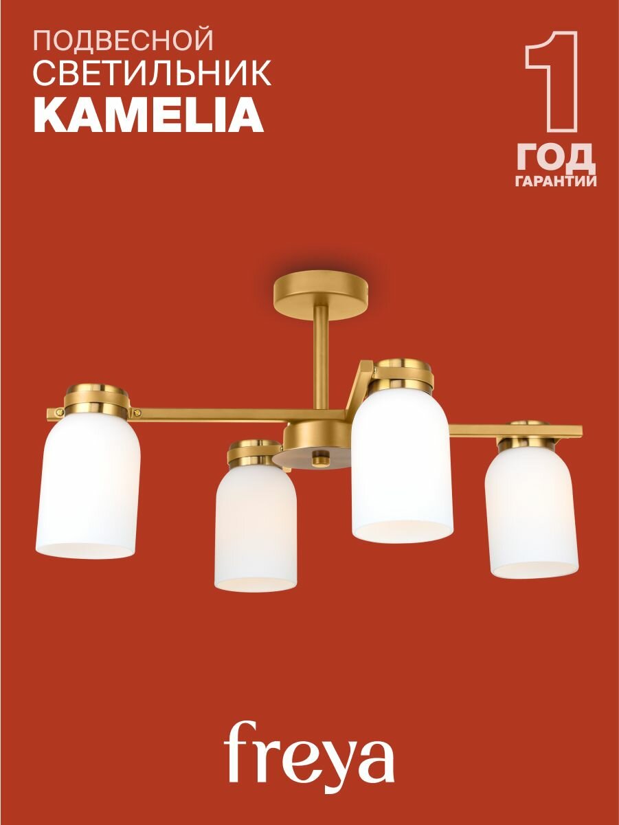 Подвесной светильник Freya Kamelia FR5446PL-04BS1