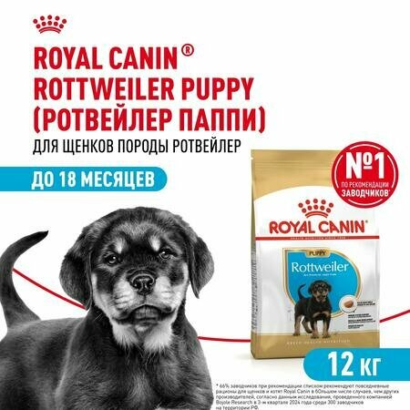 ROYAL CANIN ROTTWEILER PUPPY 12 кг сухой корм для щенков породы Ротвейлер до 18 месяцев