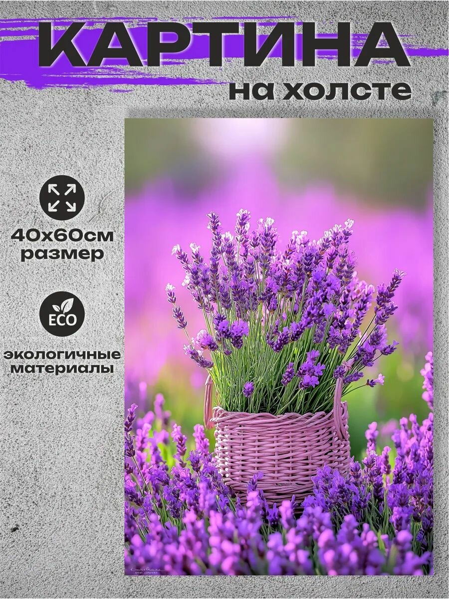 Картина на стену на холсте "Лаванда" 60х40 см