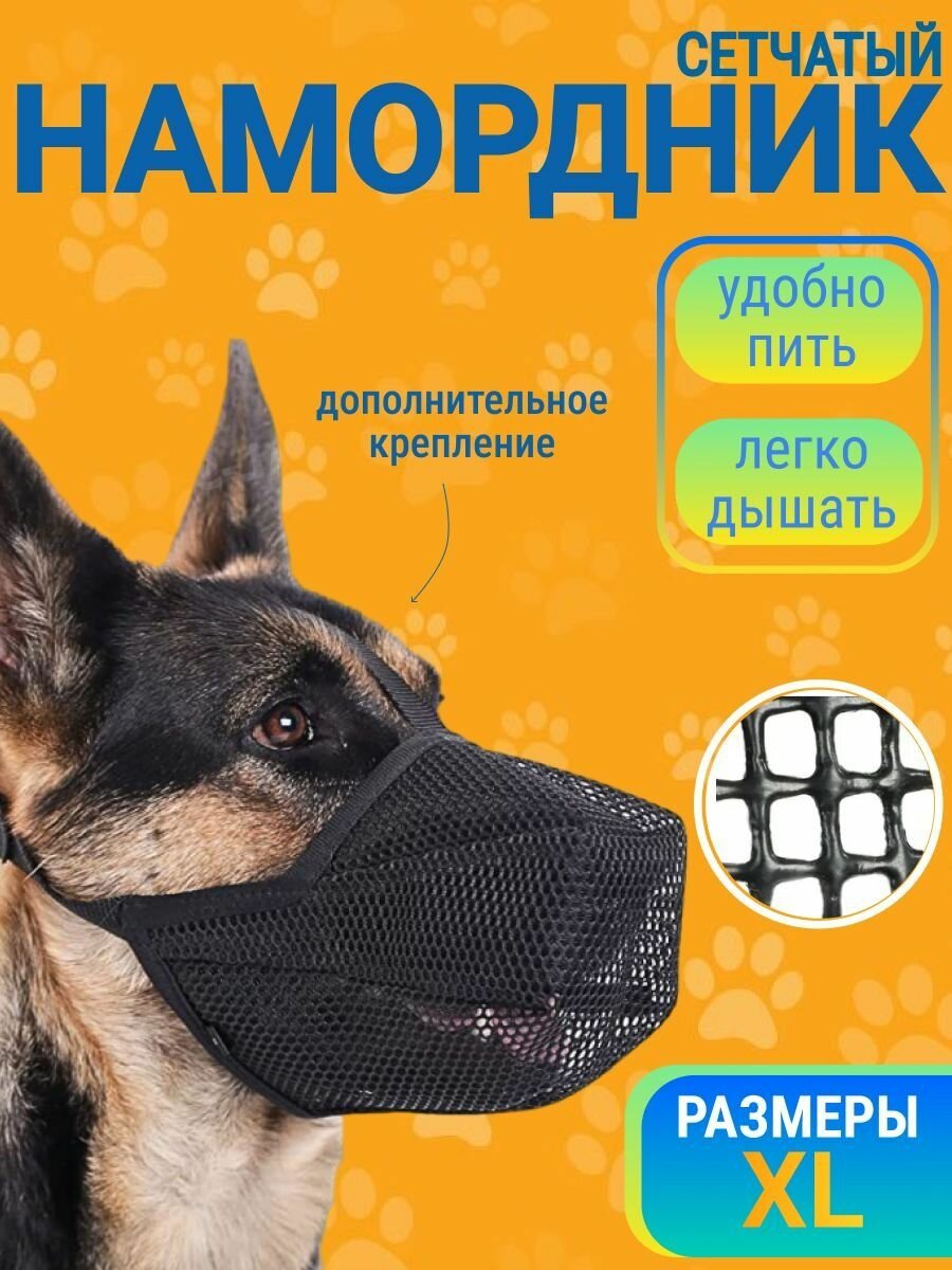 Намордник