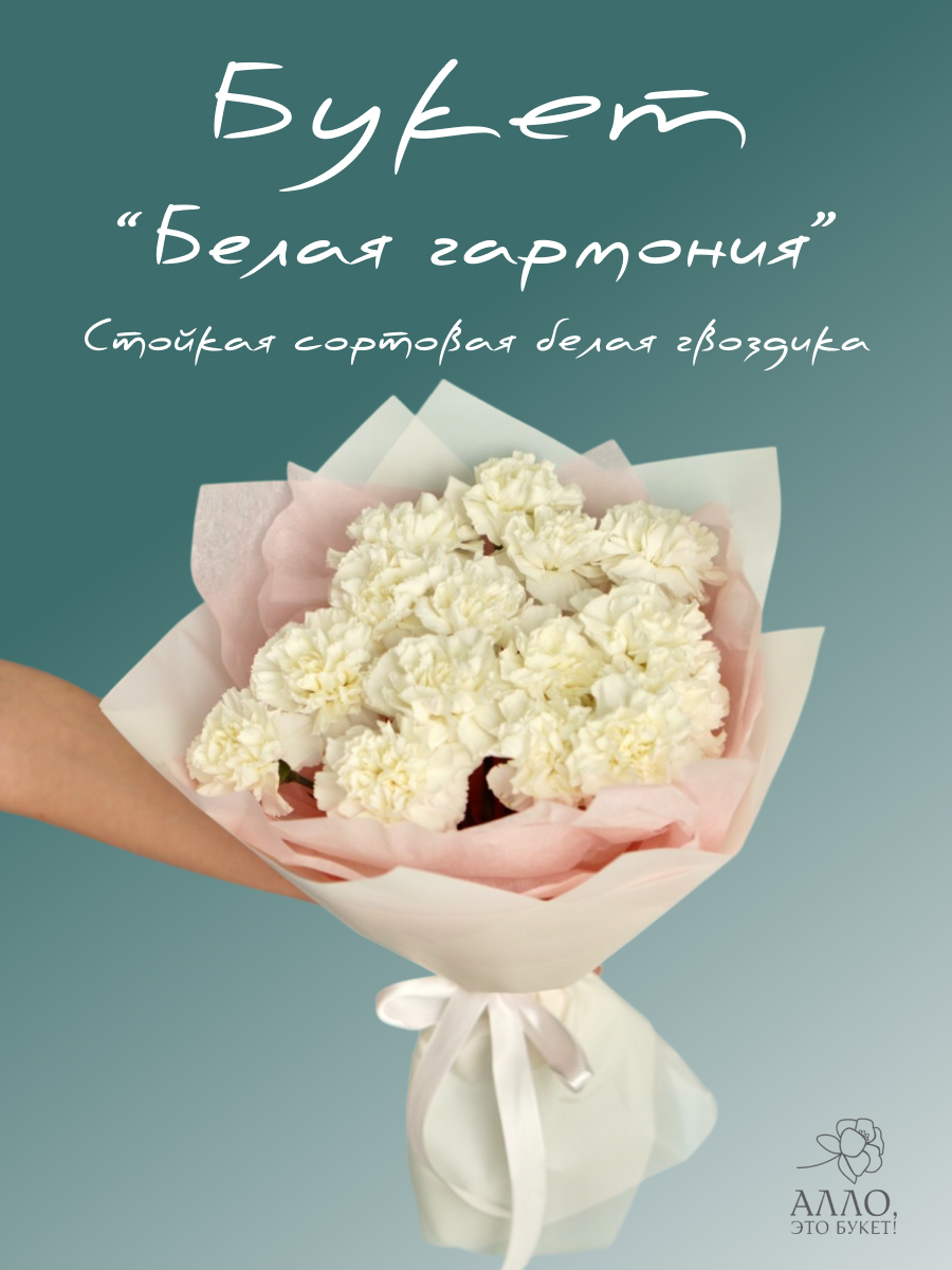 Монобукет «Белая гармония» из стойкой сортовой белой гвоздики, 15 шт, в упаковке