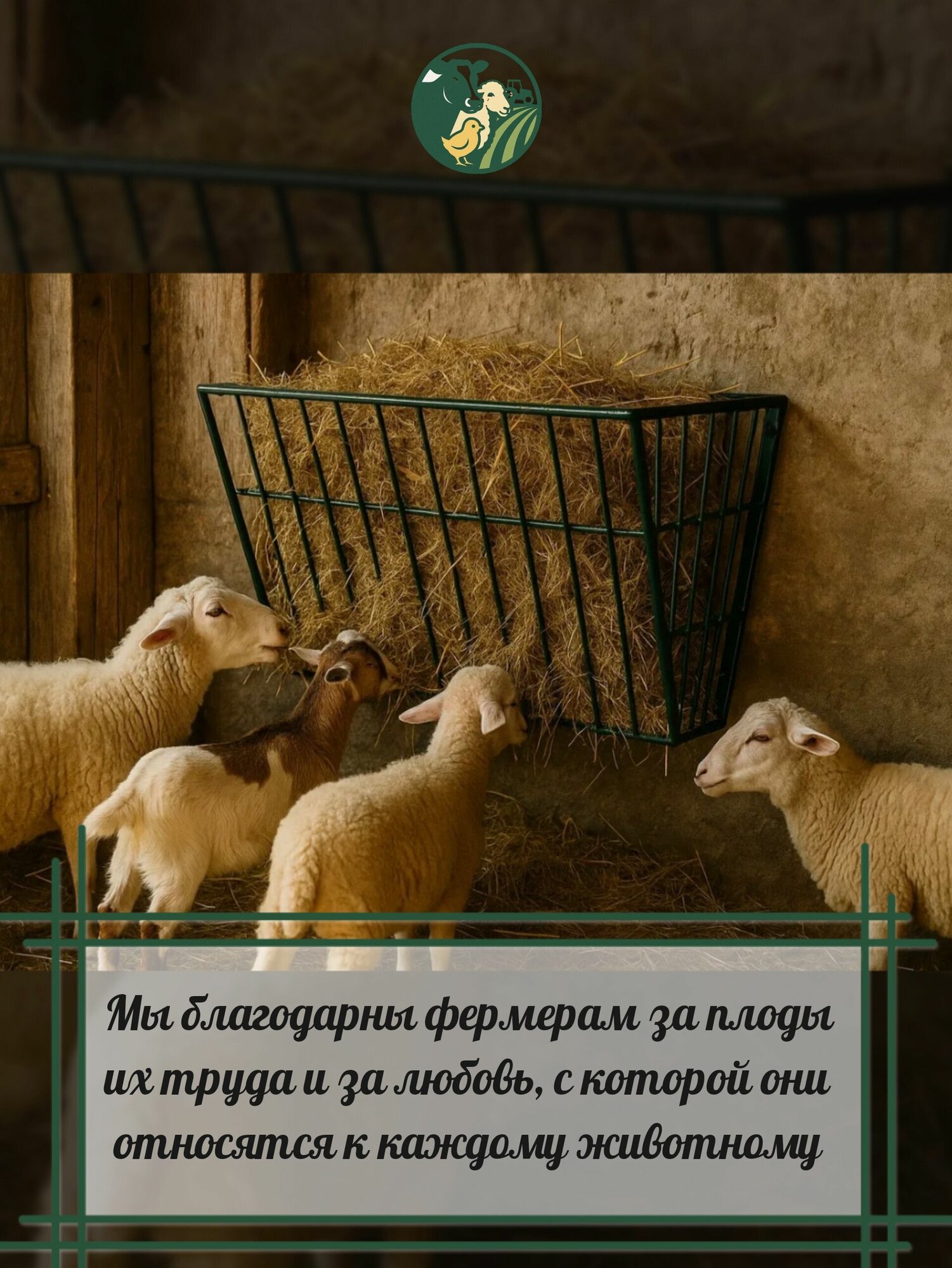 Ясли/ настенная кормушка для сена/навесная кормушка для овец и коз (Россия)
