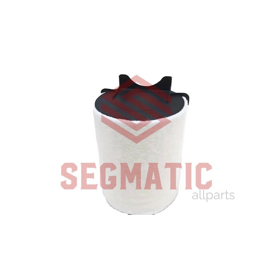 SEGMATIC SGAF3043 Фильтр воздушный Audi A3 (03-), Skoda Octavia (04-), Superb (08-), Yeti (09-), Volkswagen Caddy (04