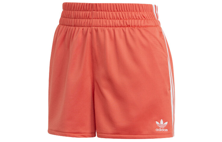 Шорты Trace Scarlet