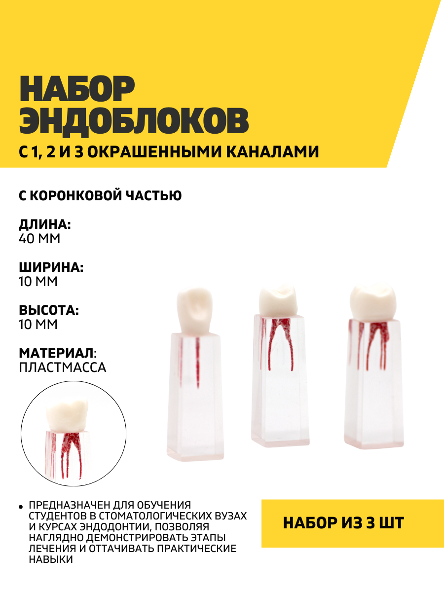 Набор из 3 эндоблоков с 1, 2 и 3 окрашенными каналами, с коронковой частью