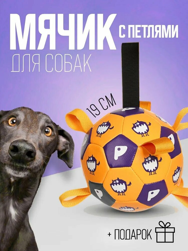 Игрушка для собак "Уличный футбольный мяч", интерактивная, для всех возрастов, 250 г