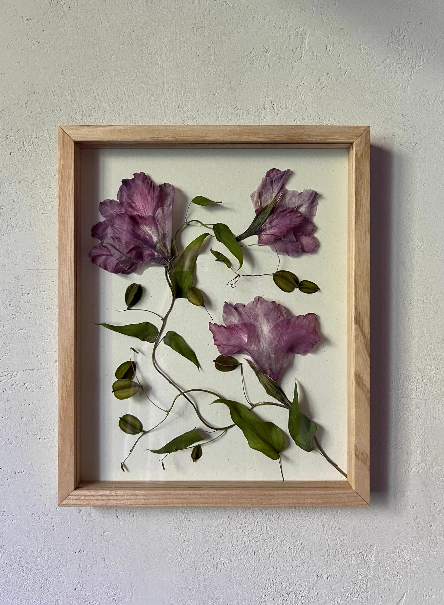 Ботаническое панно из натуральных растений в глубокой рамке 27,5х22,5 см. / Olya_klever