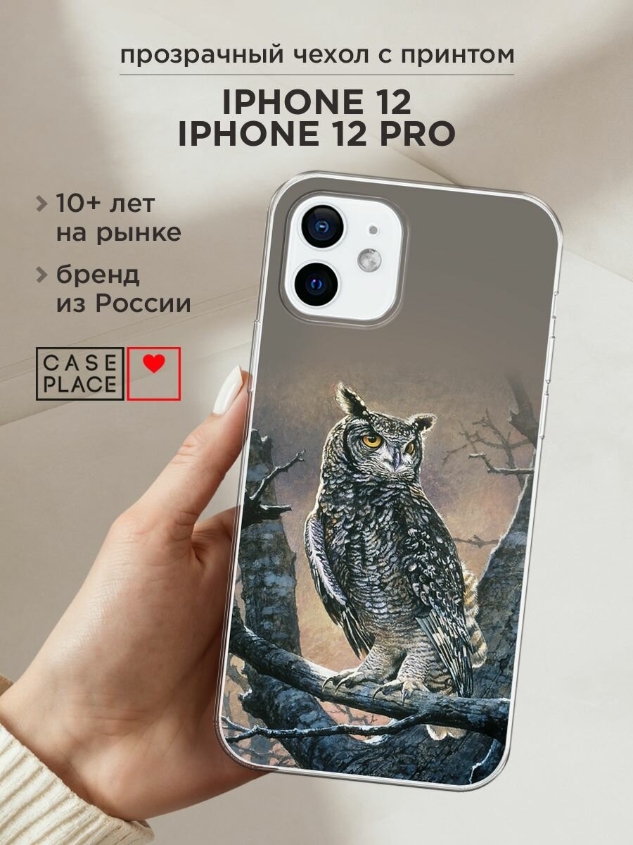 Чехол на Apple iPhone 12/12 Pro / Айфон 12/12 Про с принтом "Сова арт 5"