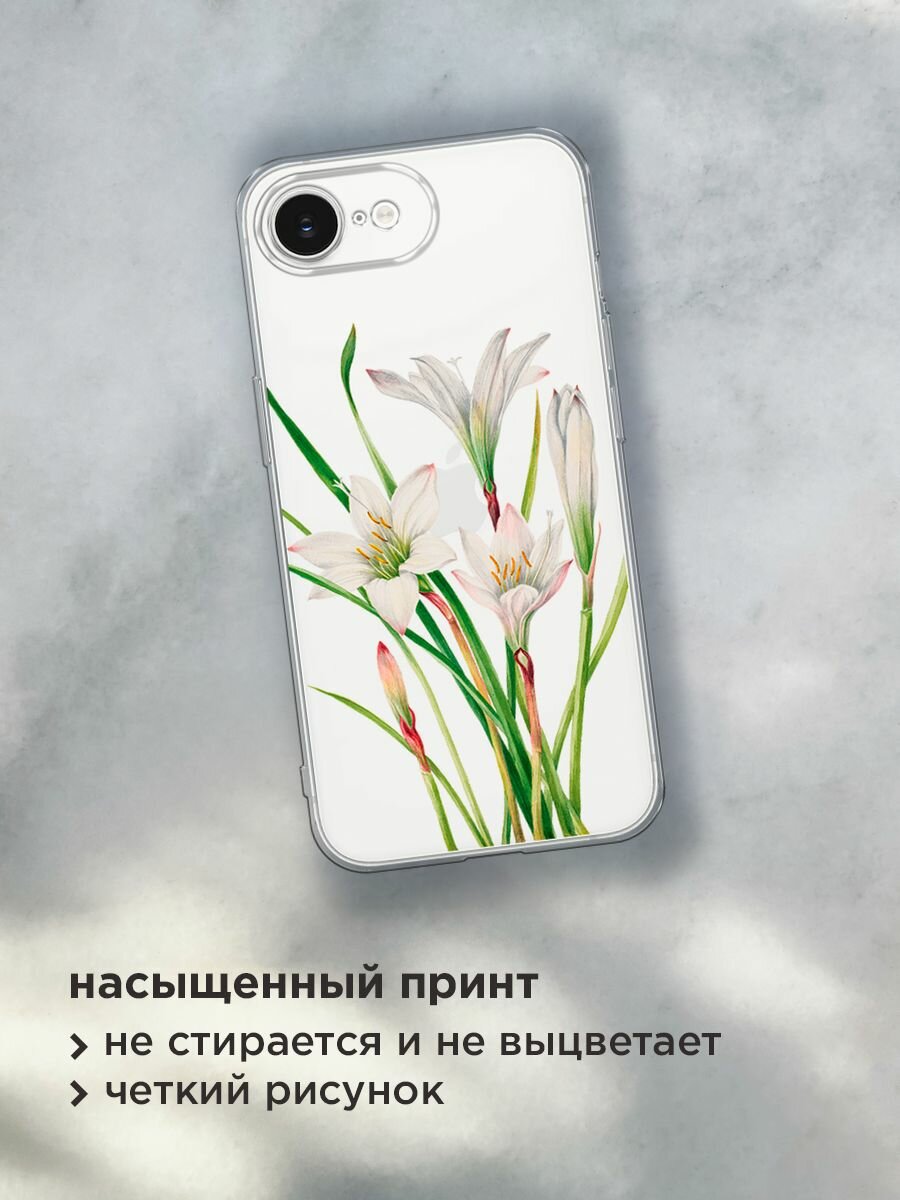 Чехол на Apple iPhone 16e/17e / Айфон 16е/17e с принтом "White lily", прозрачный — фото 1
