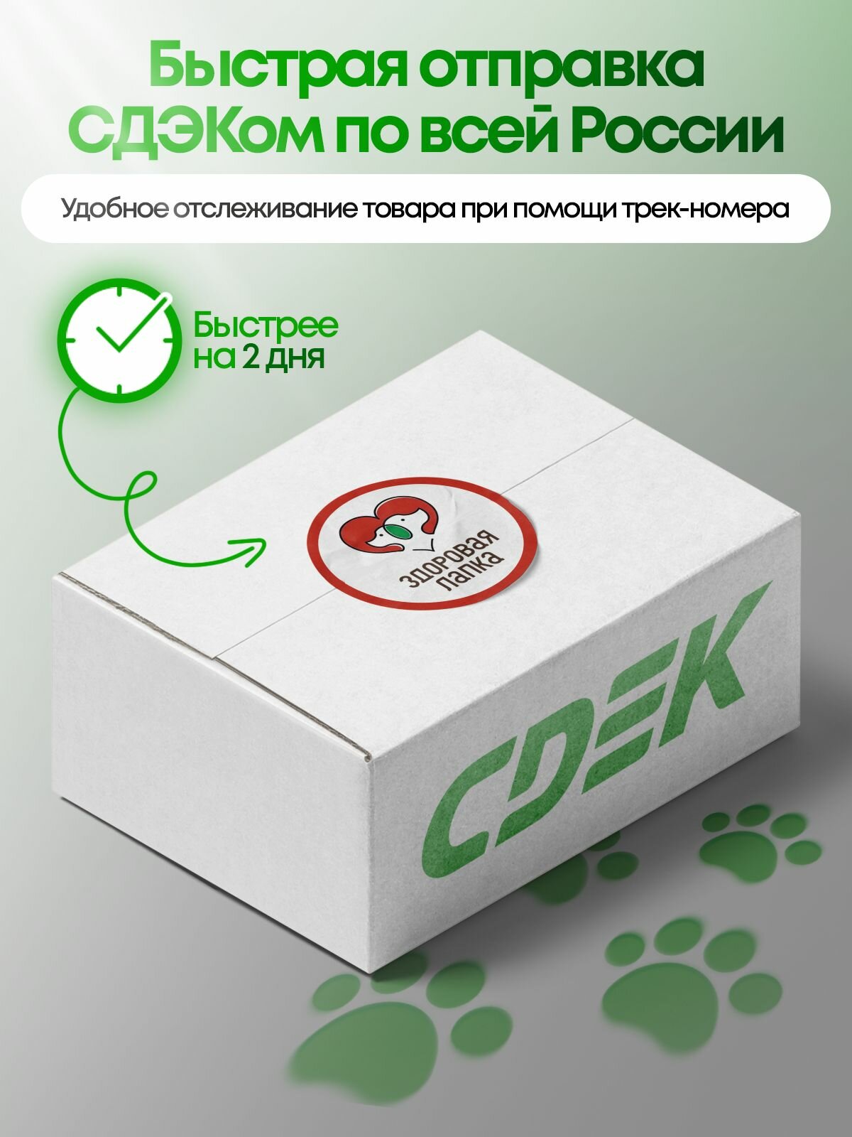 Силта АлексАнн раствор для лечения хронической болезни почек у кошек, 30 мл — фото 1
