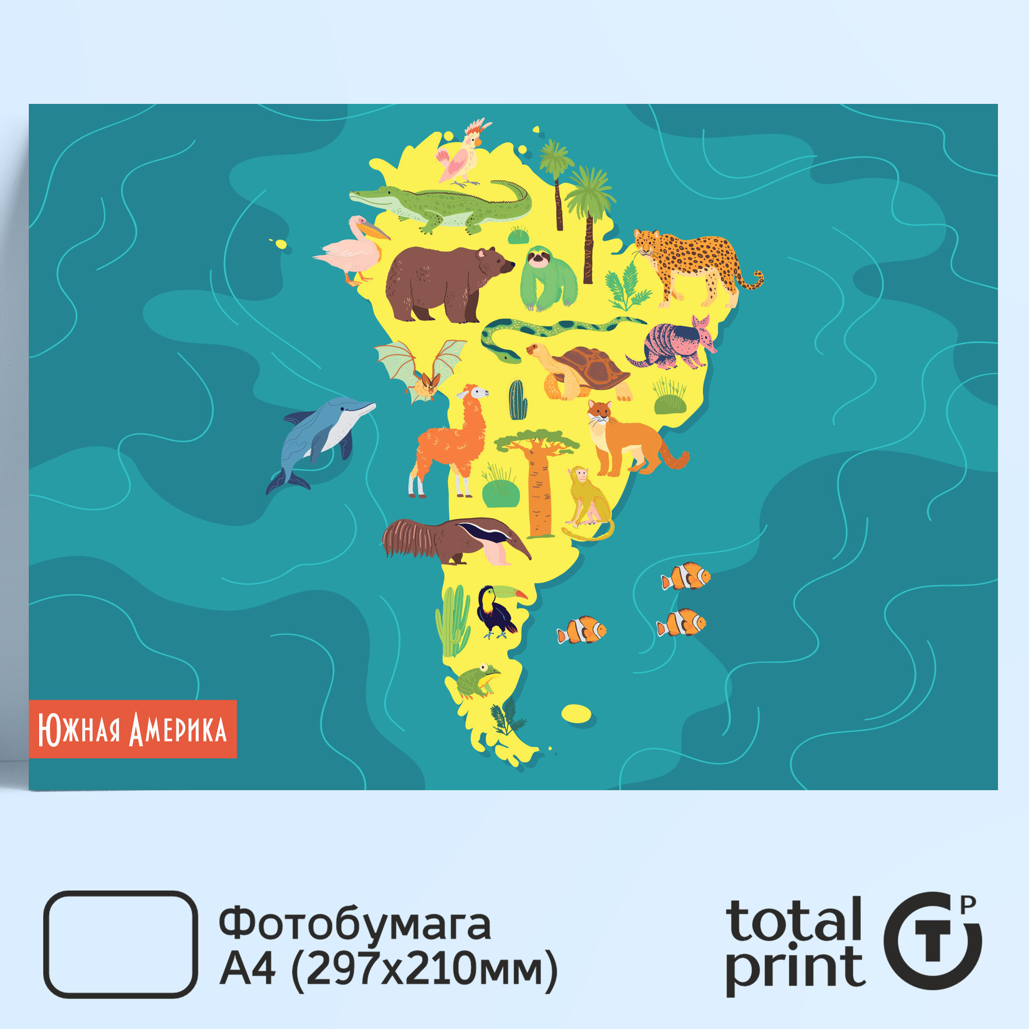 Постер на стену Карта животного мира, Южная Америка, А4(297х210), TotalPrint