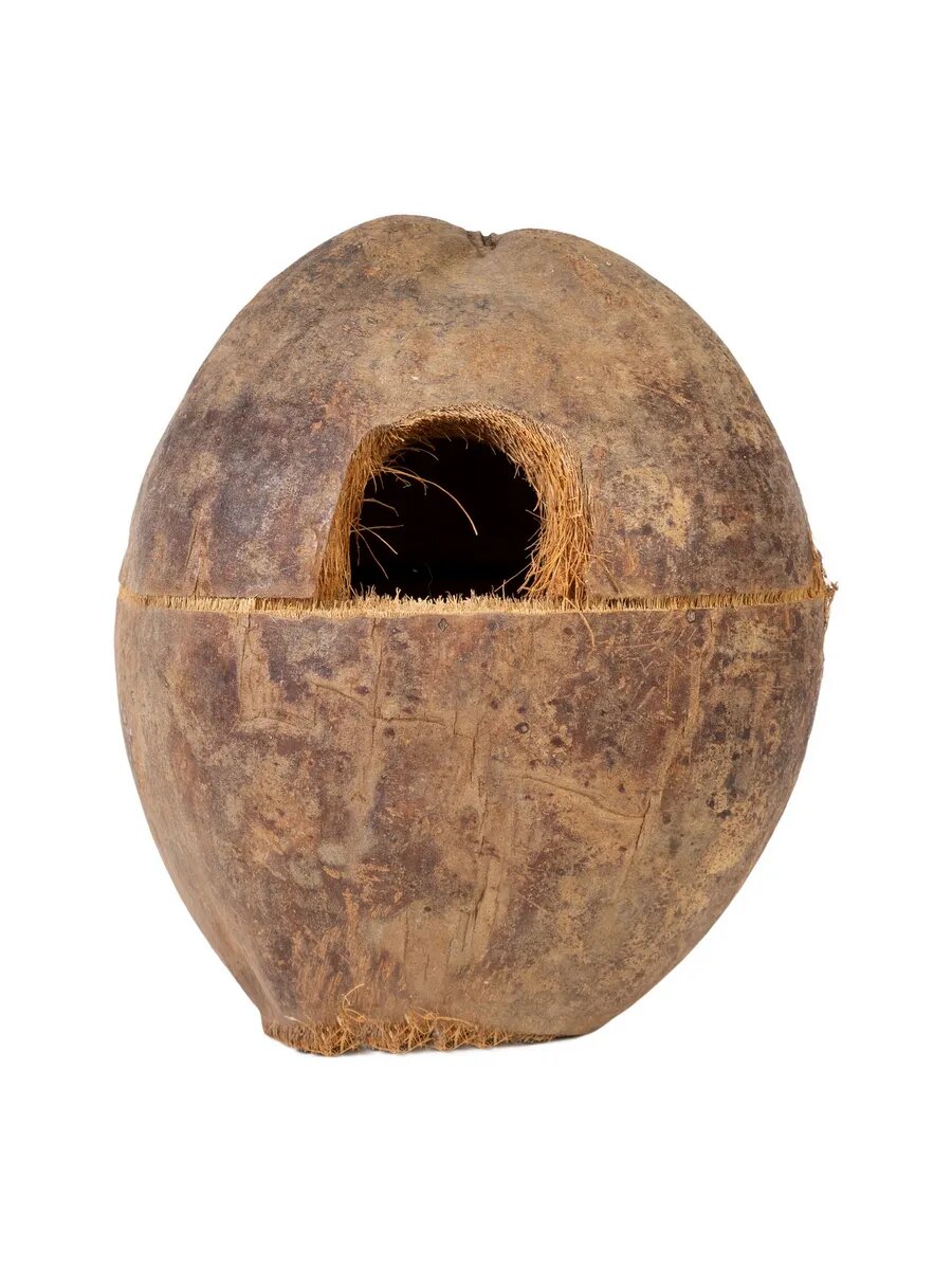 Укрытие кокос для рептилий, "COCO BOX", 20.5x17x17см