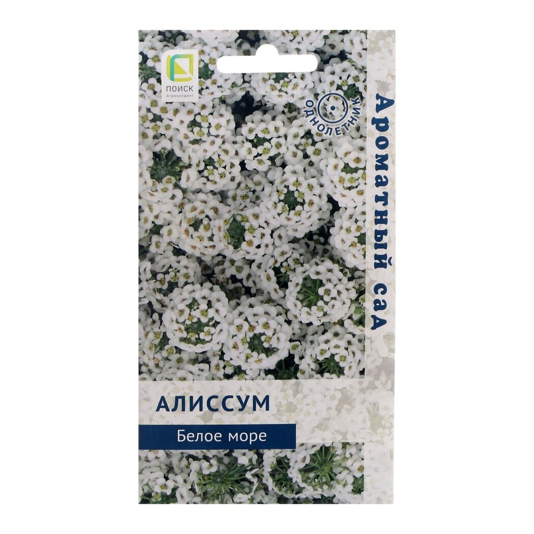 Семена цветов поиск "Алиссум Белое море", однолетние, холодостойкие, 0,3 г