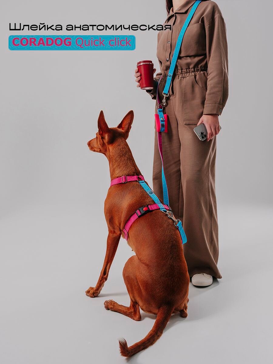 Шлейка прогулочная анатомическая для средних пород собак, CORADOG Quick click, размер S, цвет голубой, ярко розовый