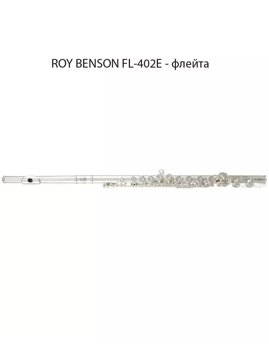 Roy Benson Fl-402е - Флейта