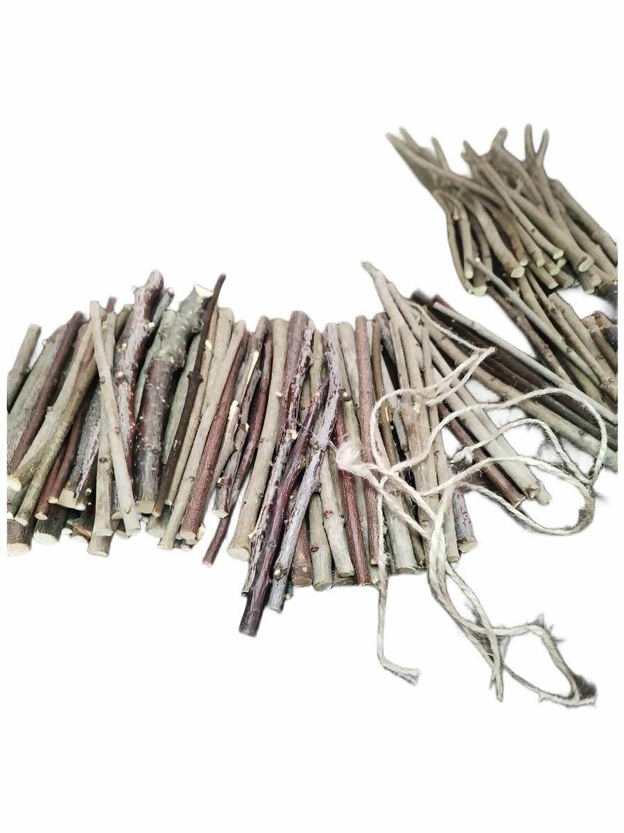 Тонкие веточки деревьев для творчества