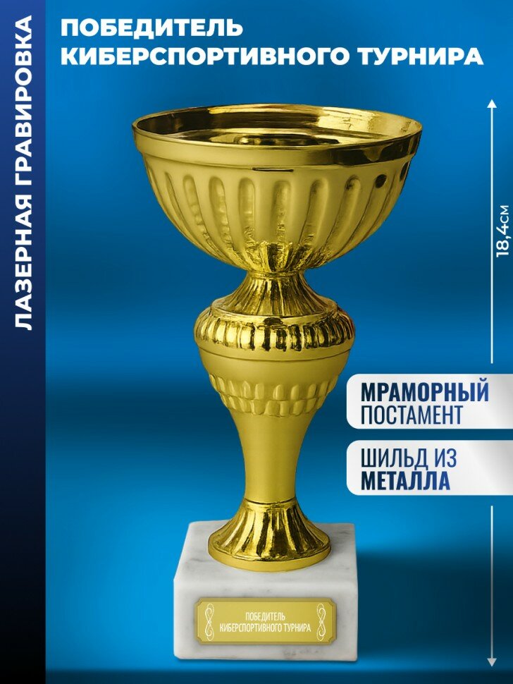 Кубок "Победитель киберспортивного турнира"