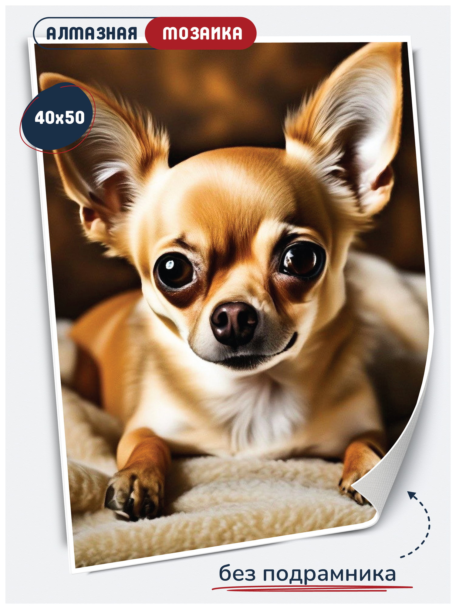 Алмазная мозаика без подрамника "Чихуахуа" 40х50 Полная выкладка