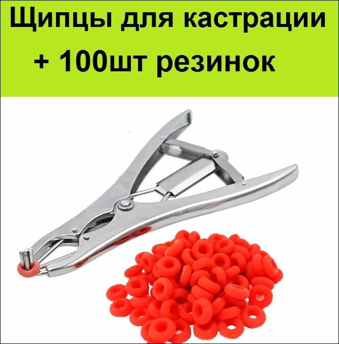Щипцы натяжные для кастрации + 100 колец-резинок для овец, ягнят. Эластратор для баранов, козлят, козлов Новая модель 2025
