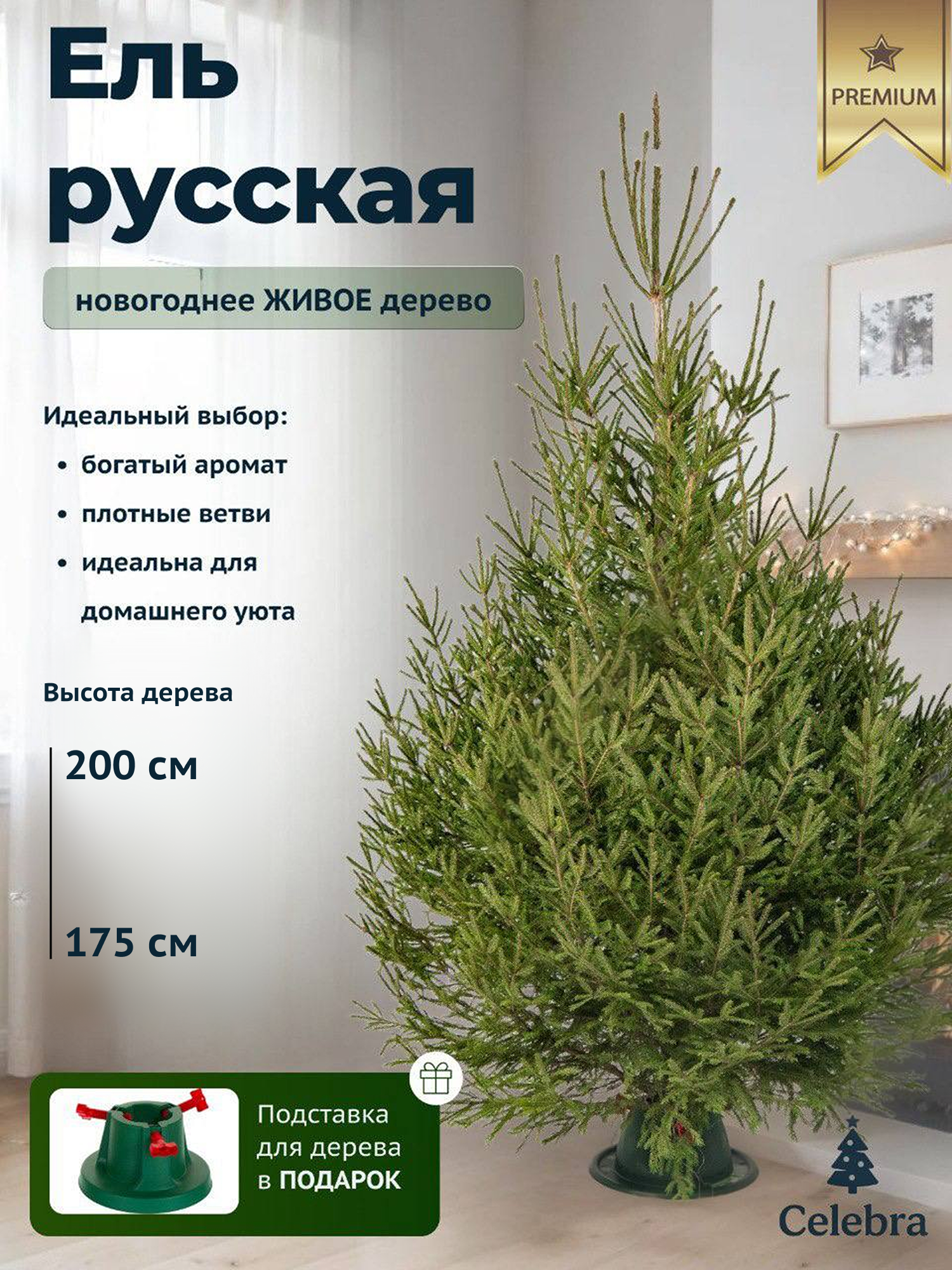 Ель Русская (сибирская) , срезанная, сорт Excellent, высота 175-200 см, зеленая ! Подставка В подарок!