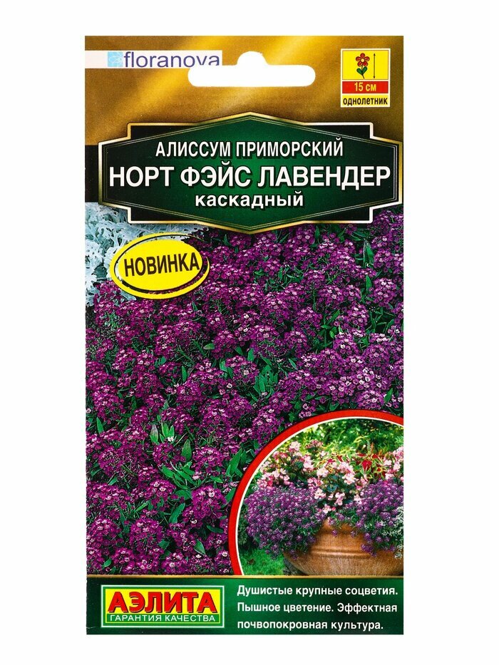 Семена цветов Алиссум приморский «Норт Фэйс Лавендер» каскадный, 10 шт.