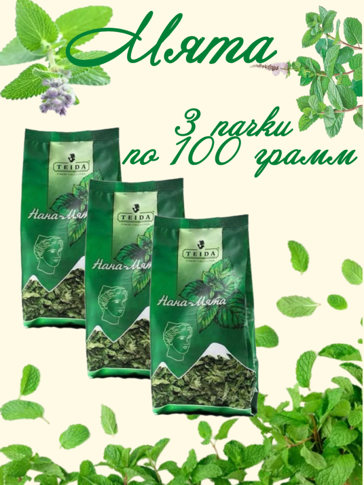 Чай травяной Teida Нана-мята 100 грамм 3 штуки