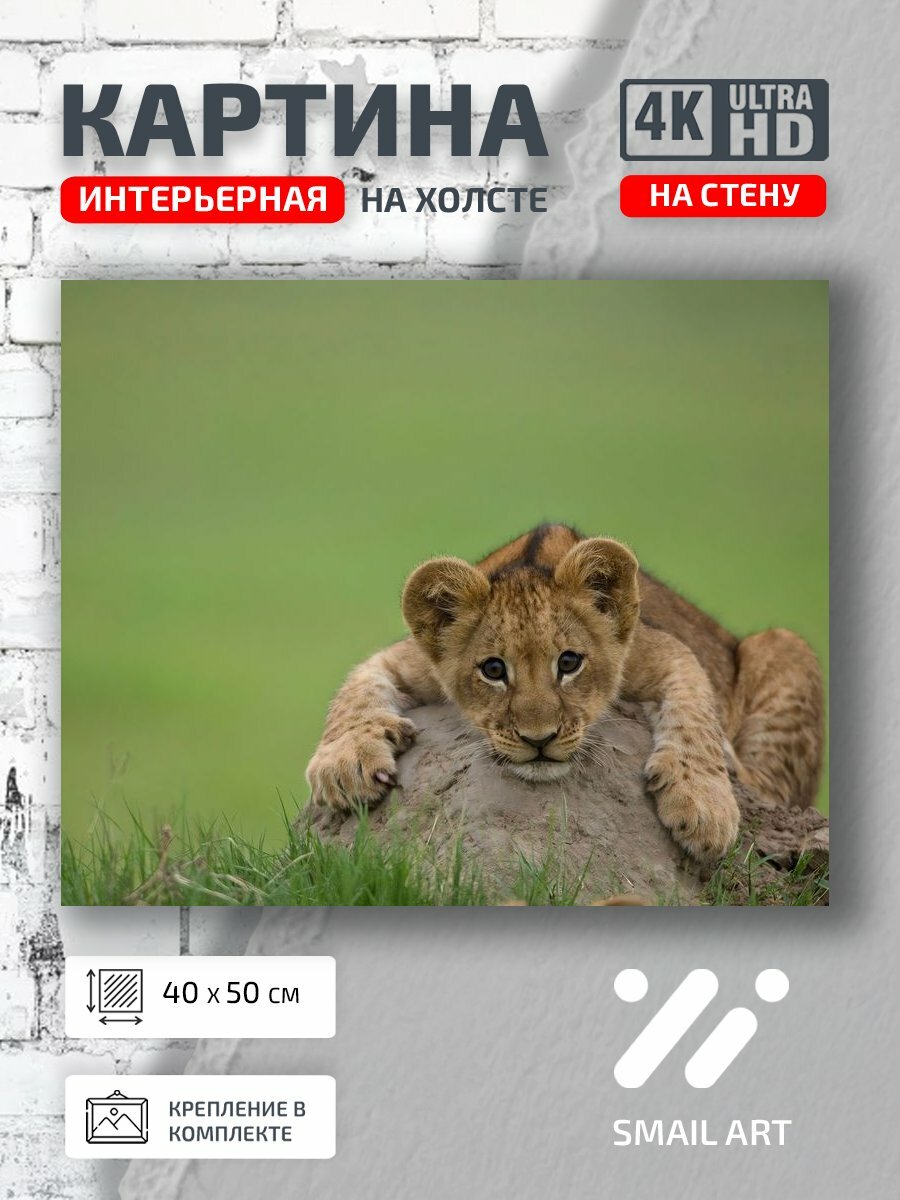 Картина на холсте интерьерная 40 на 50 на стену Камне Mood для гостиной атмосфера интерьер