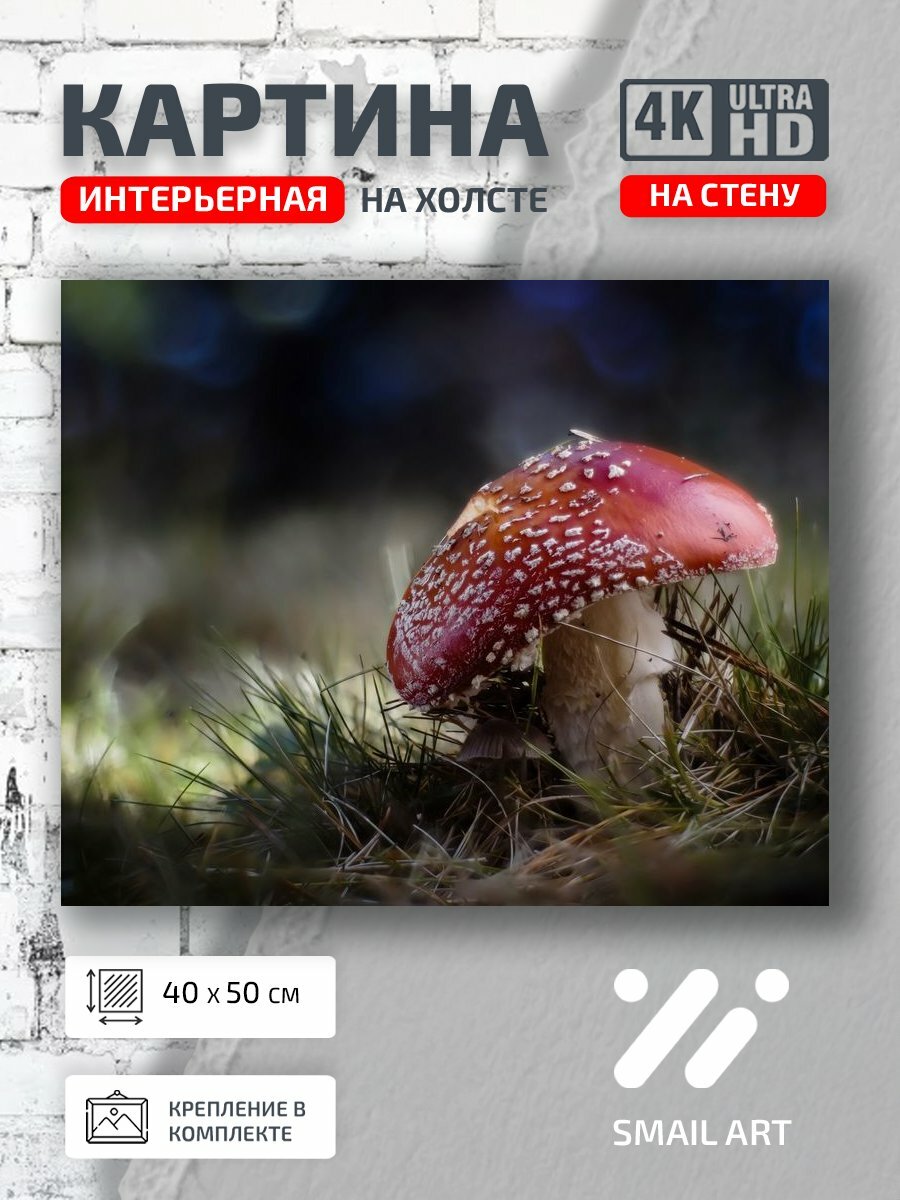 Картина на холсте интерьерная 40 на 50 на стену Трава Landscape для гостиной пейзаж декор