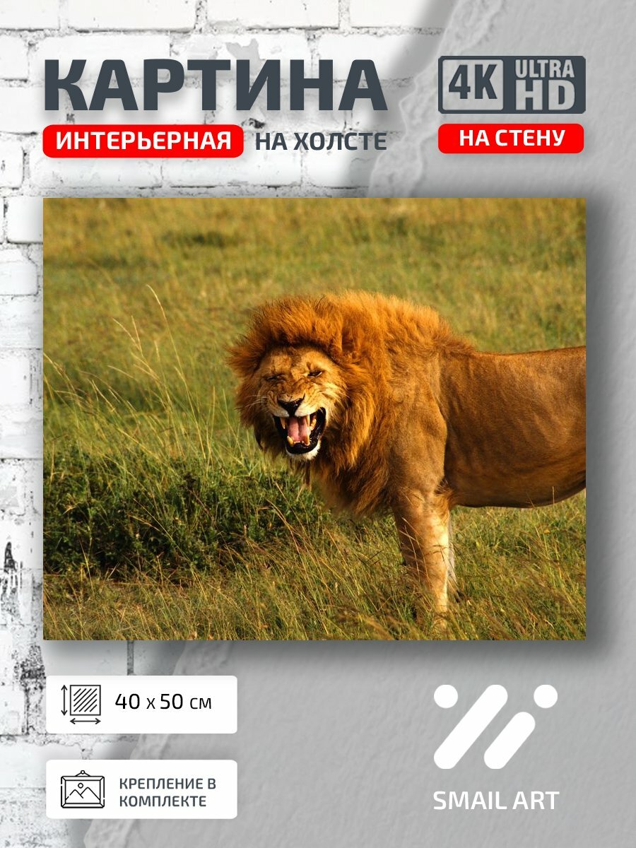Картина на холсте интерьерная 40 на 50 на стену Лев Animal для кафе animal style интерьер