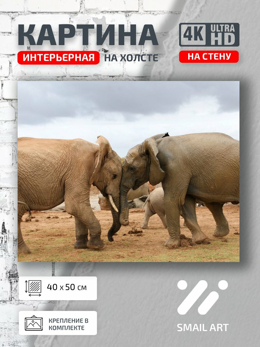 Картина на холсте интерьерная 40 на 50 на стену Саванна Animal для гостиной animal style