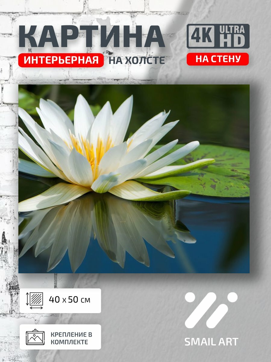 Картина на холсте интерьерная 40 на 50 на стену Кувшинка Landscape для офиса пейзаж декор