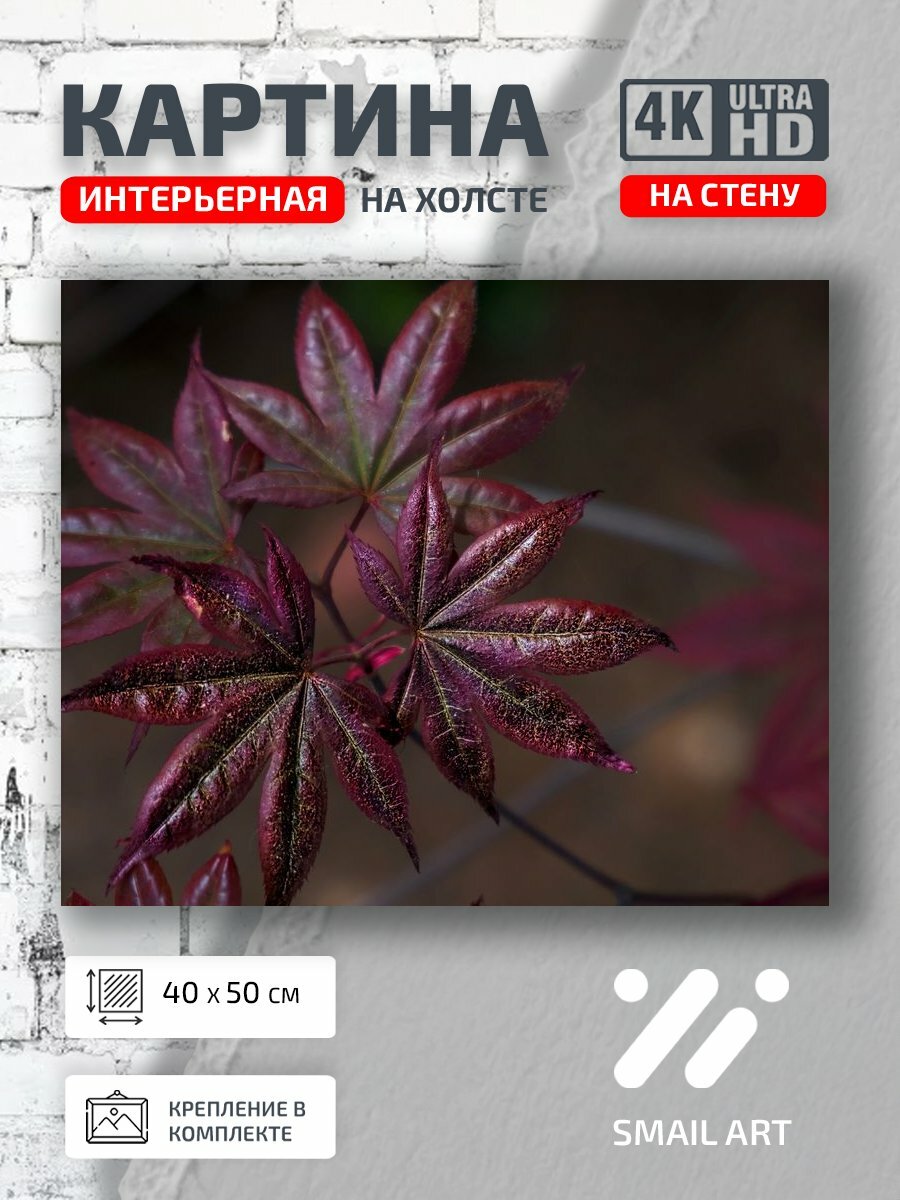 Картина на холсте интерьерная 40 на 50 на стену Листья Landscape для кафе пейзаж интерьер