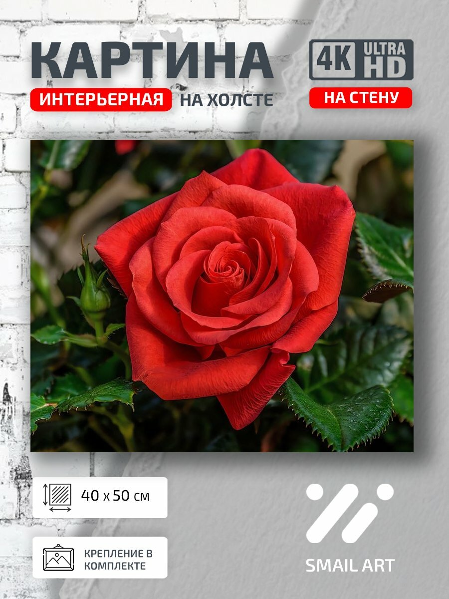Картина на холсте интерьерная 40 на 50 на стену Шипы Mood для гостиной атмосфера интерьер