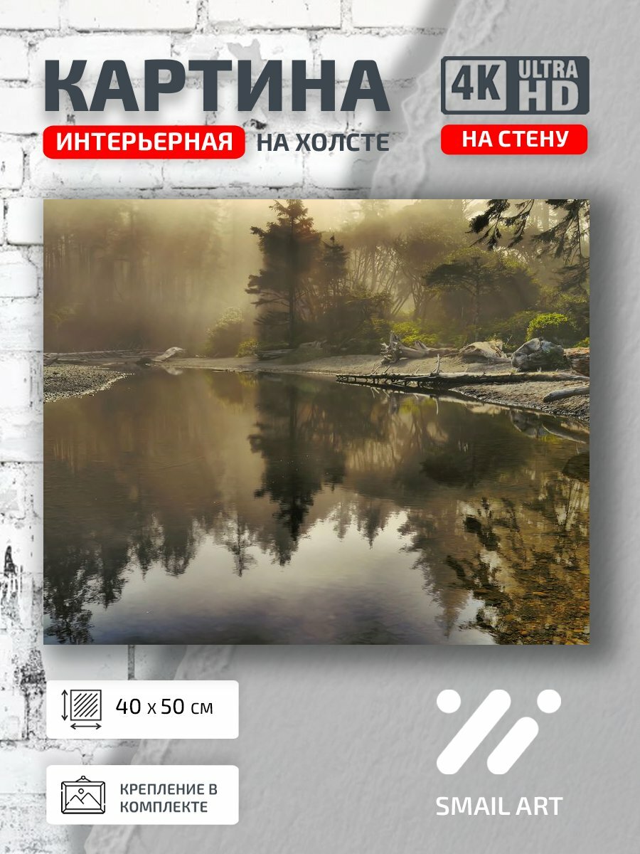 Картина на холсте интерьерная 40 на 50 на стену Лес Landscape для кабинета пейзаж интерьер