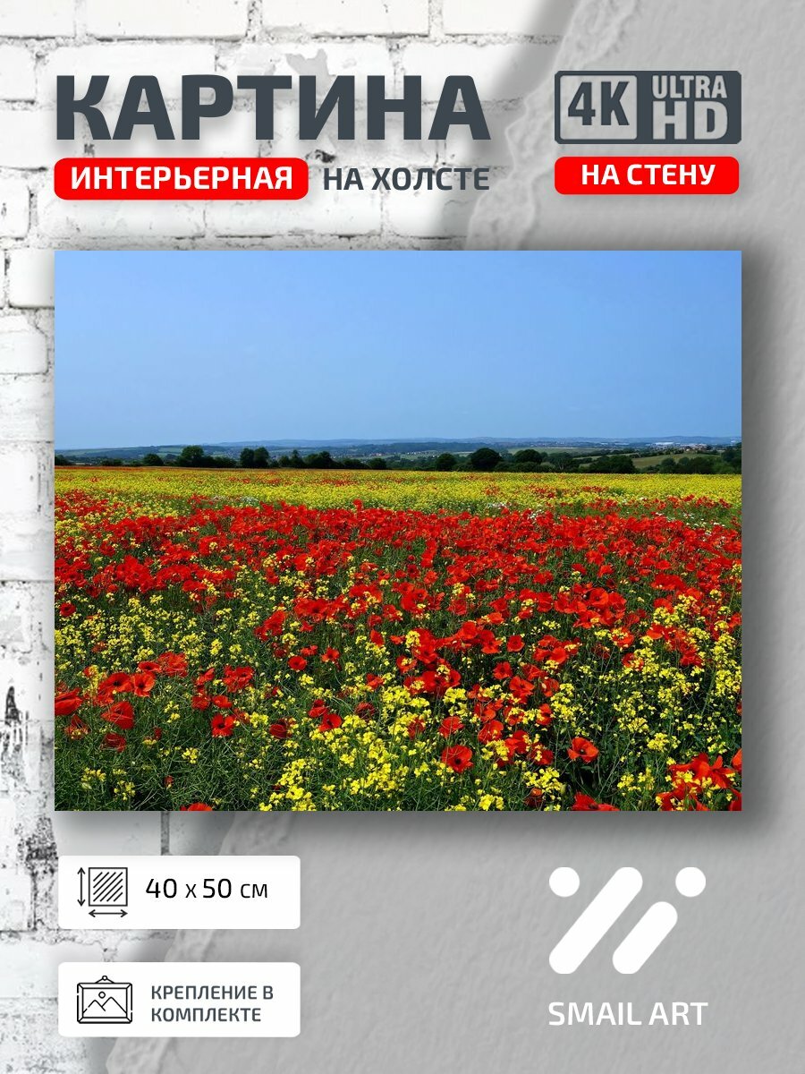Картина на холсте интерьерная 40 на 50 на стену Маков Landscape для спальни пейзаж интерьер