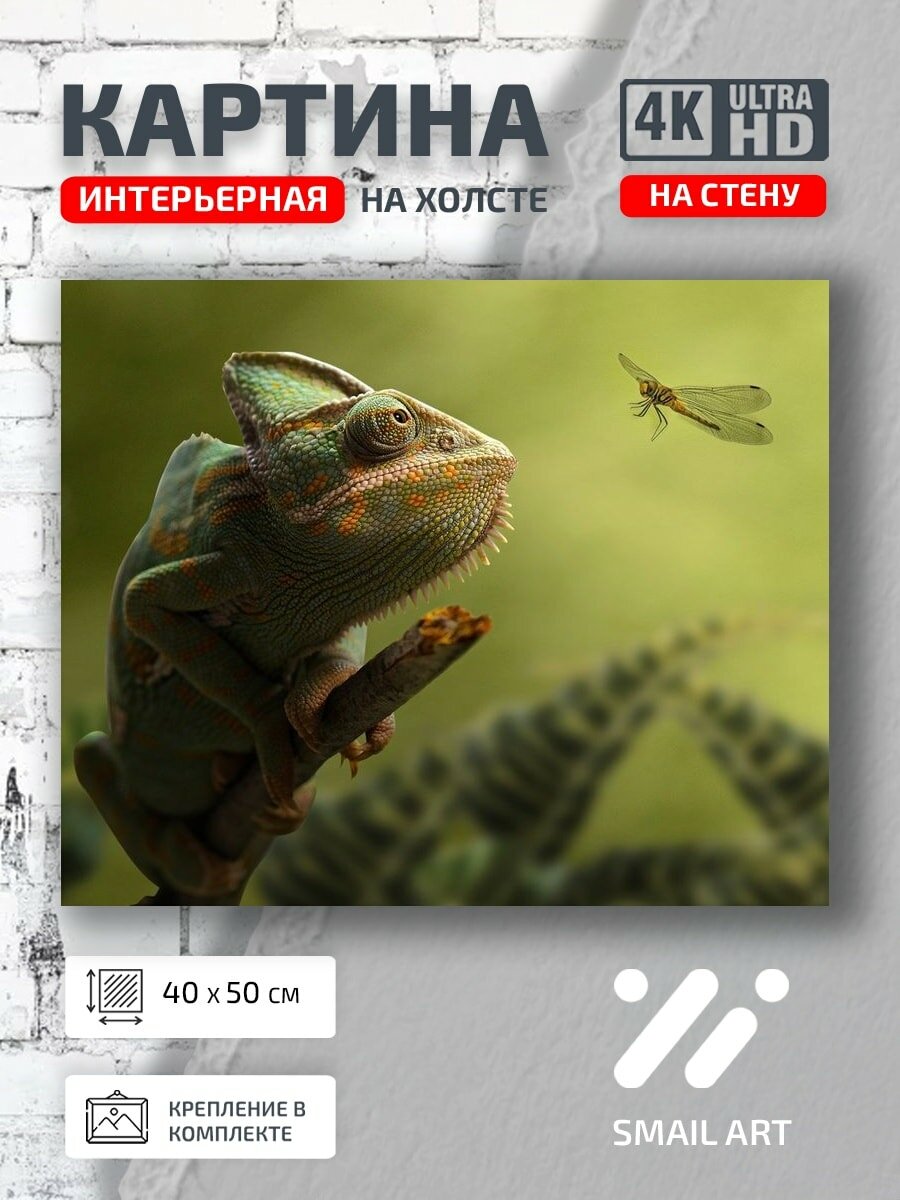 Картина на холсте интерьерная 40 на 50 на стену Хамелеон Стрекоза для студии атмосфера