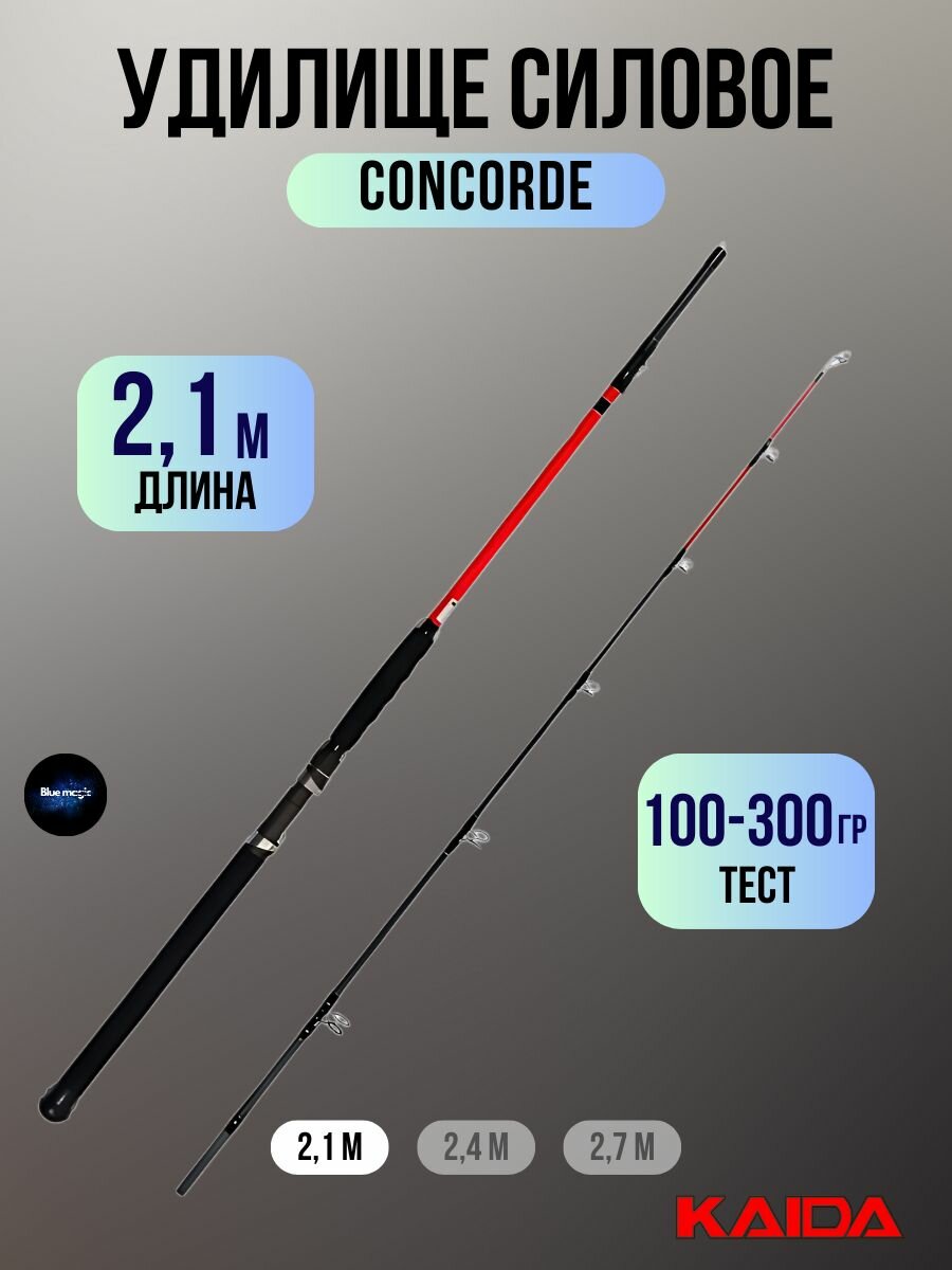 Удилище силовое Kaida CONCORDE тест 100-300g 2,1м