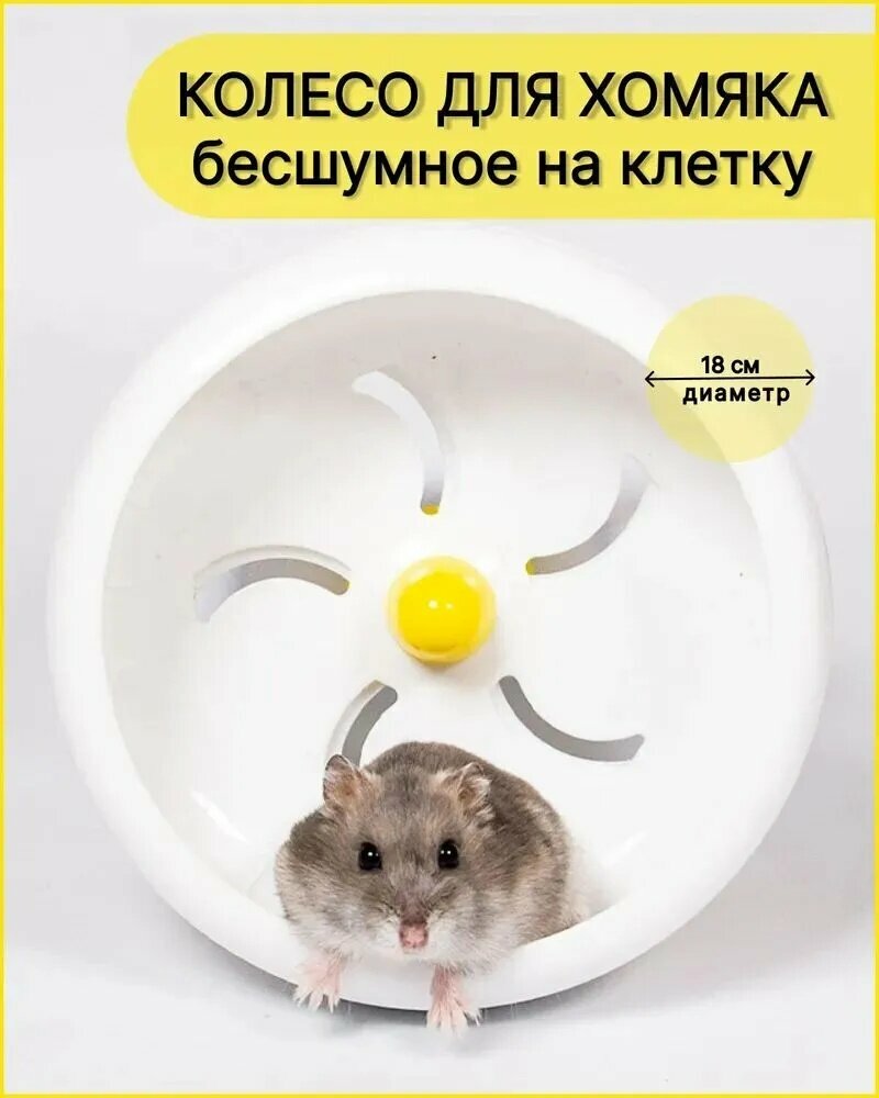 Беговое колесо для грызунов FatCat 18 см - бесшумное, большое, для хомяков, крыс и мышей, безопасное, с подставкой