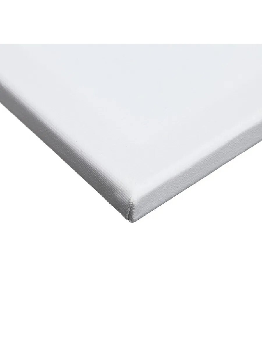 Профессиональный холст для творчества