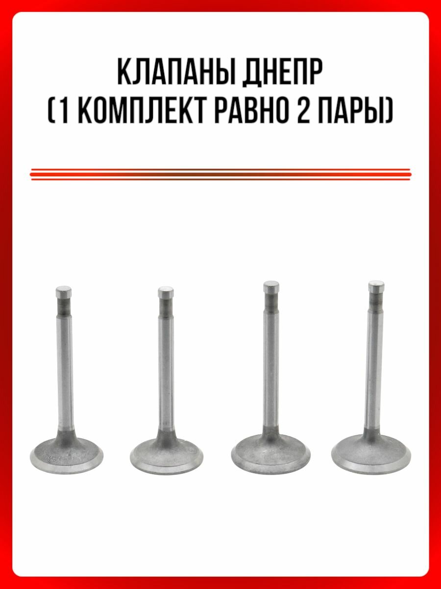 Клапаны Днепр (1 комплект2 пары)