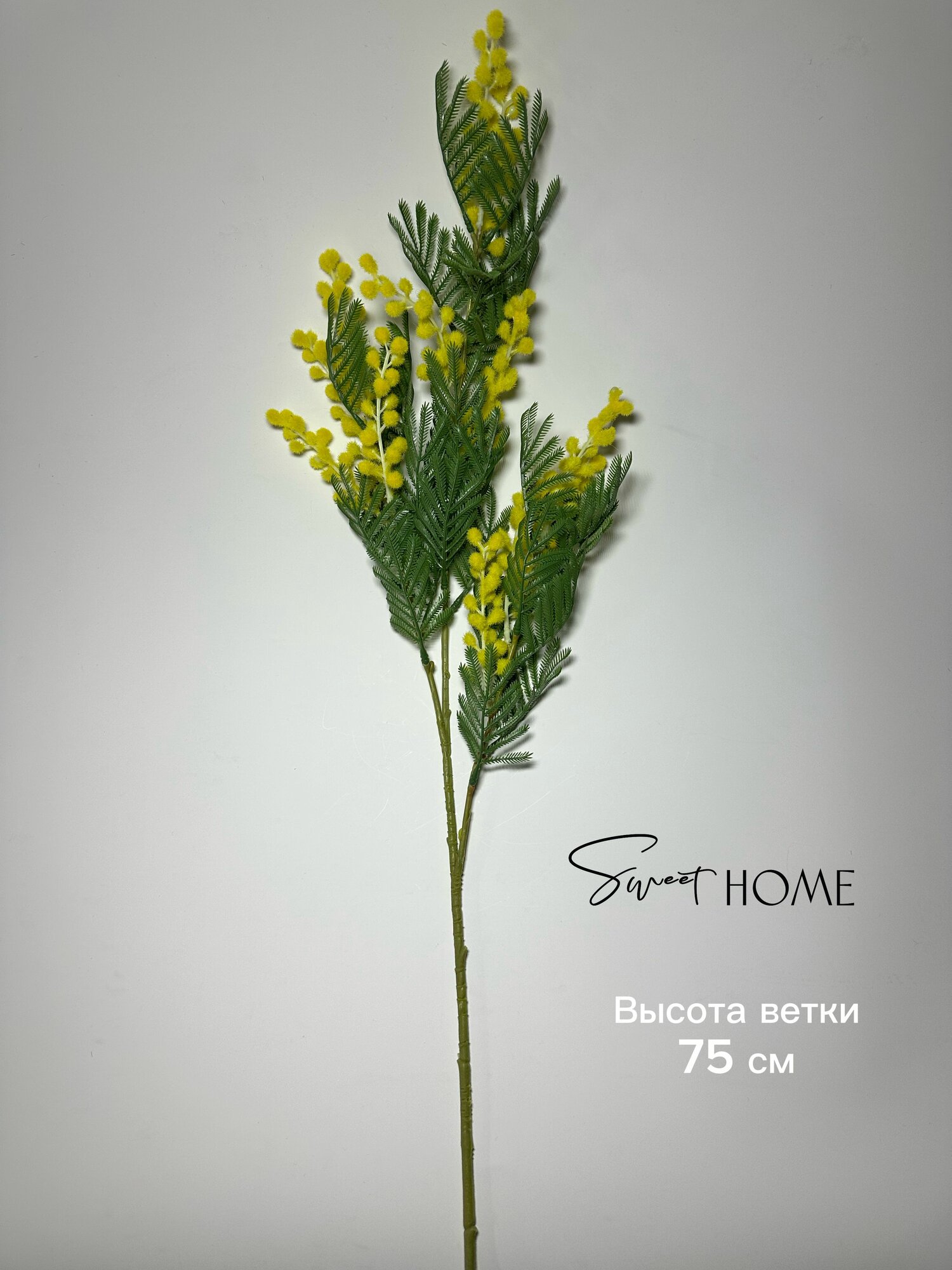 Мимоза 75 см