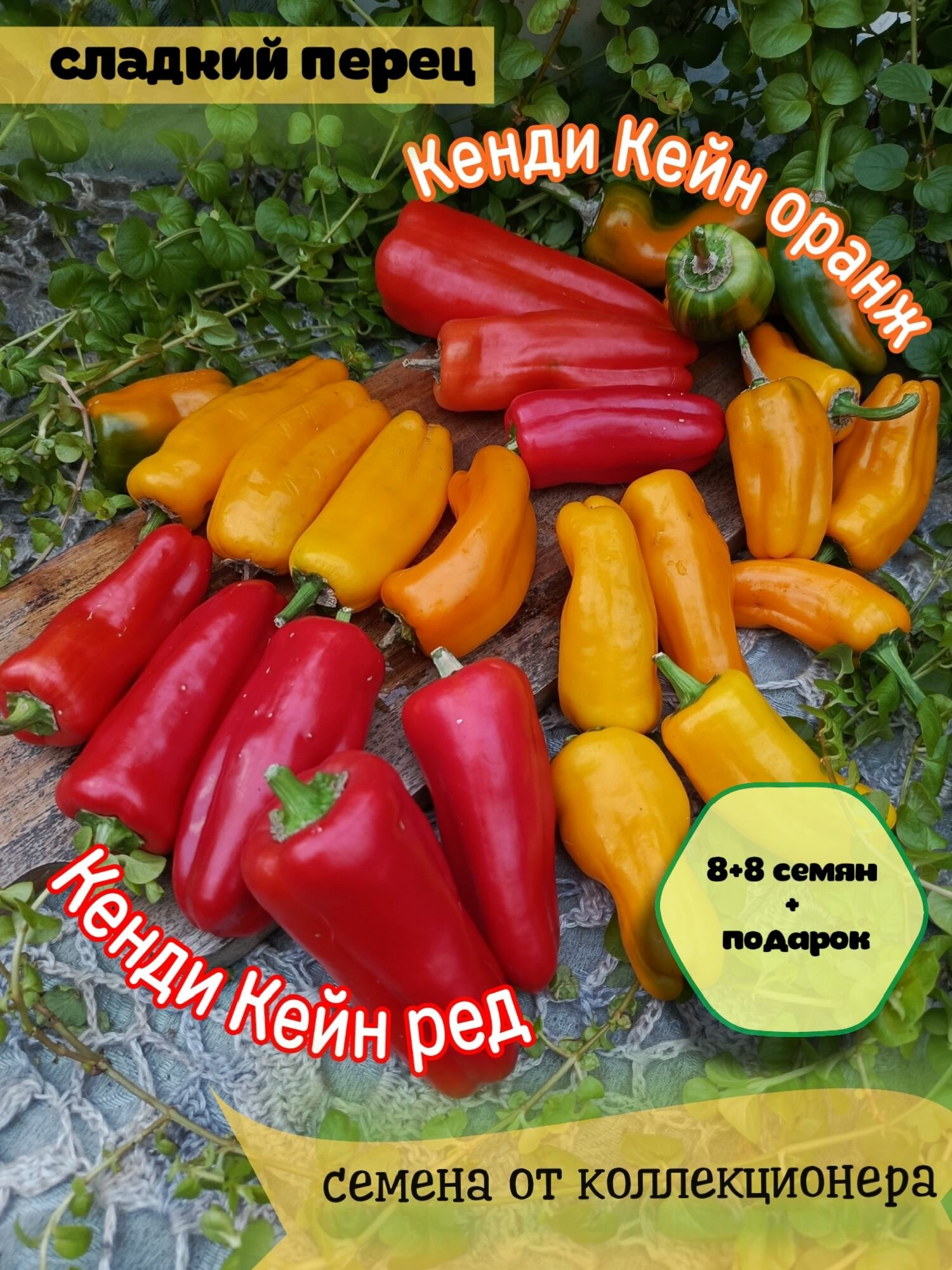 Перцы сладкие "Кенди Кейн ред" и "Кенди Кейн оранж", селекция Голландии