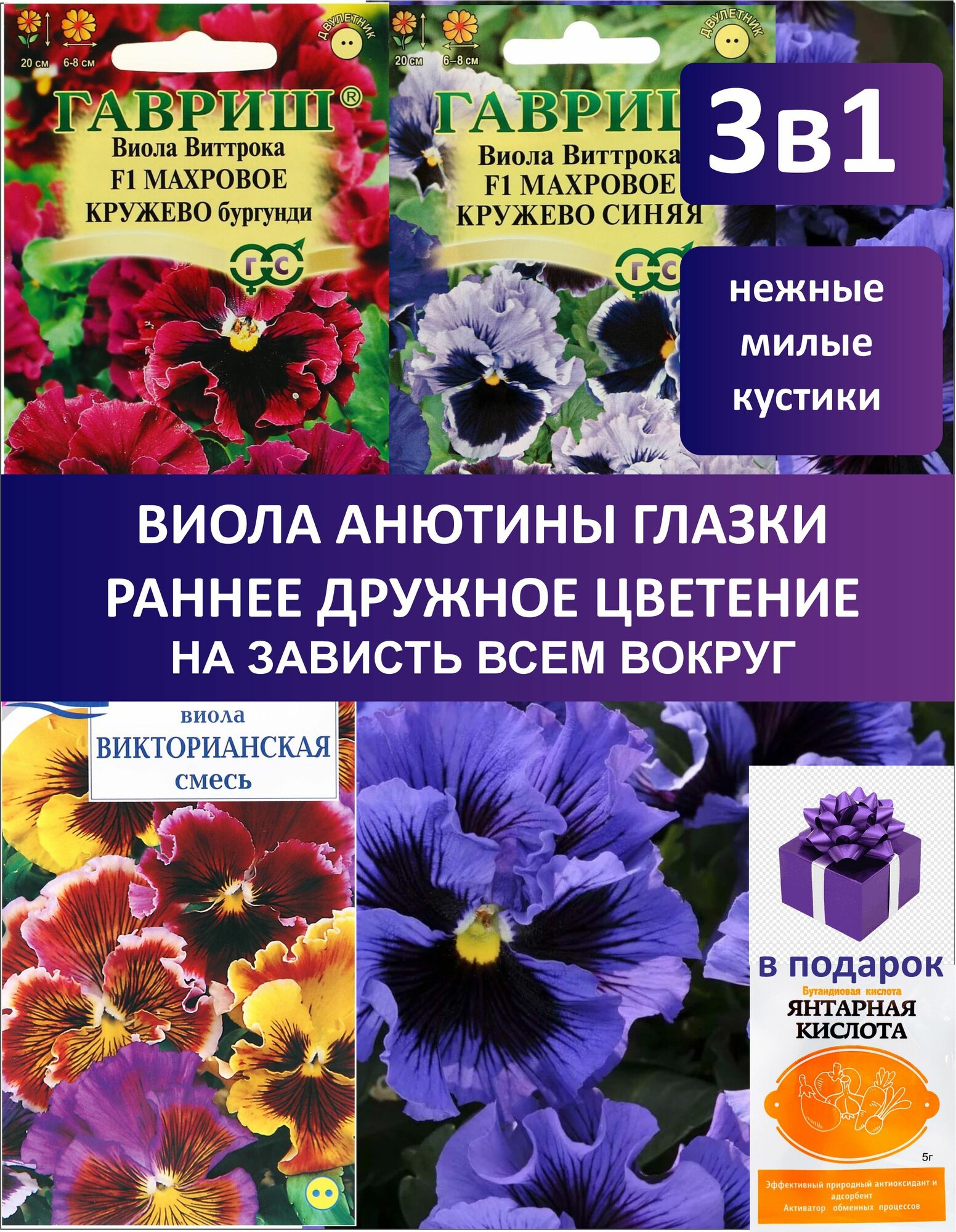 Семена виола анютины глазки многолетние 3 пакета + 1 пакет янтарная кислота подарок