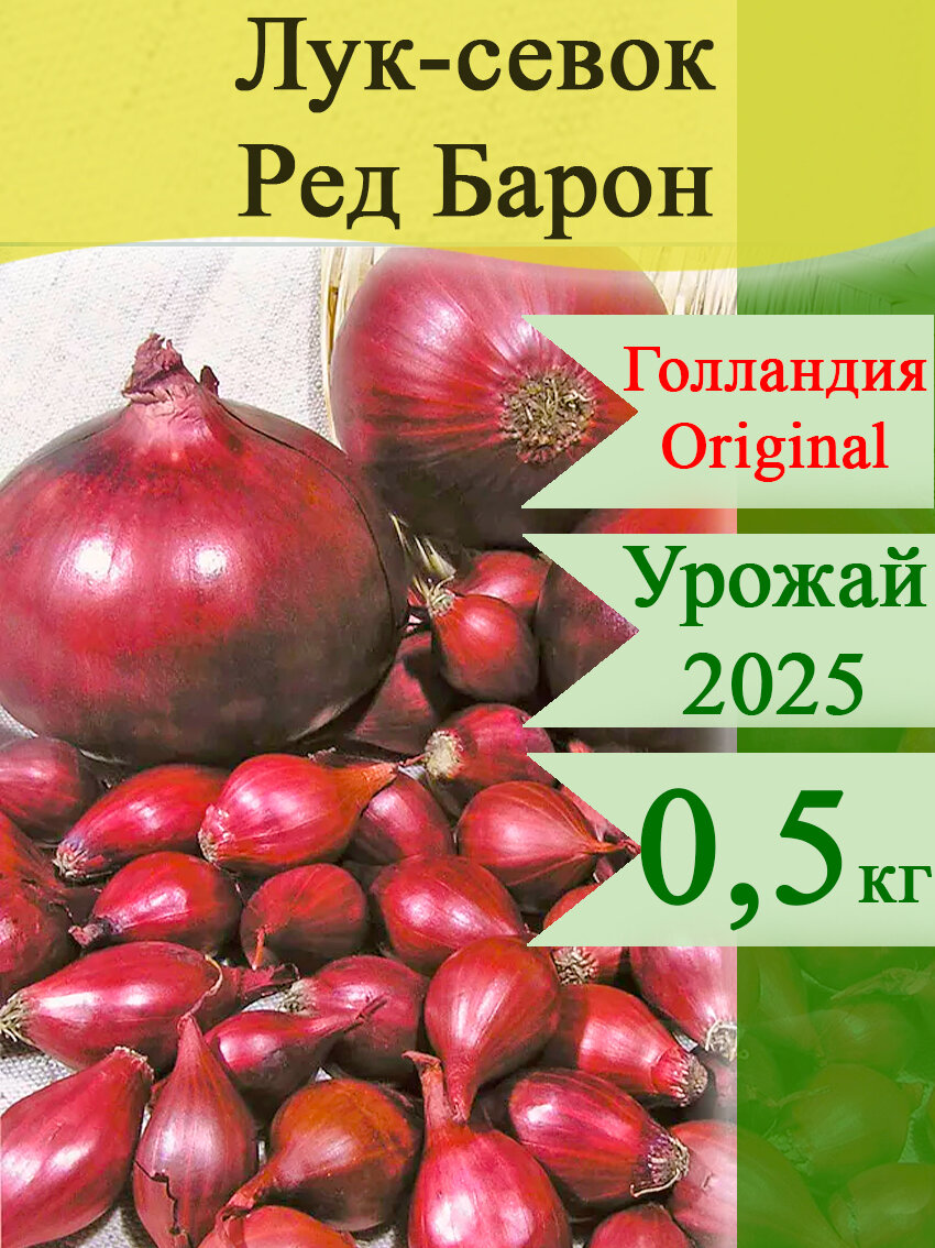 Лук севок Ред Барон 0,5 кг, Голландия, красный